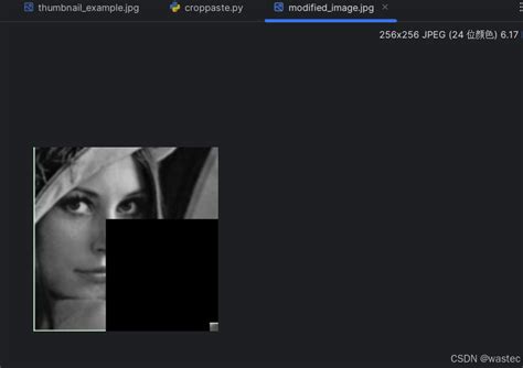 Python计算机视觉第一章 基本的图像操作和处理python计算机视觉编程 第一章 基本的图像操作和处理 Csdn博客
