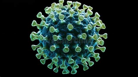 Cell Structure With A Smaller Cell Enclosed Within Another Cell In Biological Context Stock