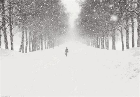 新詩採擷春妹子雪花你為何不能落在我心裏 每日頭條