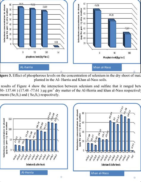 The Effect Of The Interaction Between Selenium And Sulfur On The