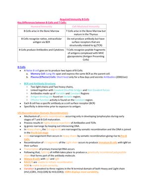T Cells Overview Lecture Summary In Detail BIOL2022 Southampton Studocu