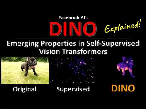 Free Video Emerging Properties In Self Supervised Vision Transformers Facebook Ai Research