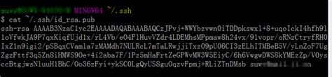 查看本机的ssh公钥查ssh 公钥过期时间 Csdn博客