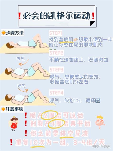 【图文攻略】产后恢复之盆底肌修复这么做！ 知乎