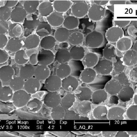 Sem Micrographs Showing Fracture Surface Of The Fabricated Cmc Download Scientific Diagram