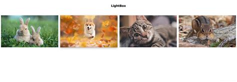 Js特效三：lightbox（轮播图图片弹窗）lightboxjs Csdn博客