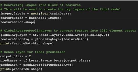 Implementing VGG Using Pre Trained Model Shiksha Online