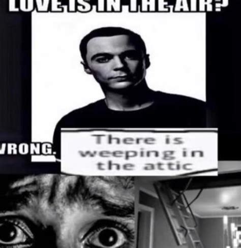 My Favorite Big Bang Theory Episode Rbigbangtheory