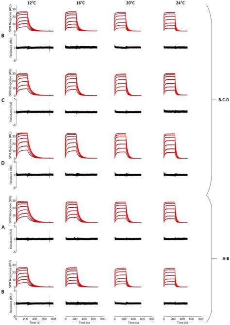 Kinetics Analysis Of The Injection Of Mixtures Of Four Compounds At Download Scientific Diagram