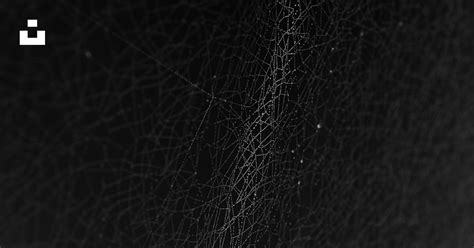 질감이 있는 표면의 흑백 사진 사진 Unsplash의 무료 검정 이미지