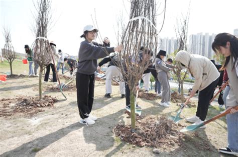 中国化学十四化建联合江北新区综合行政执法局开展青年植树联谊活动 新华网