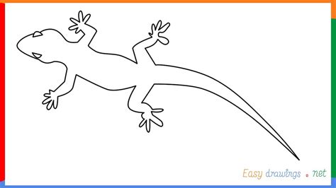 How To Draw A Lizard Step By Step For Beginners Youtube