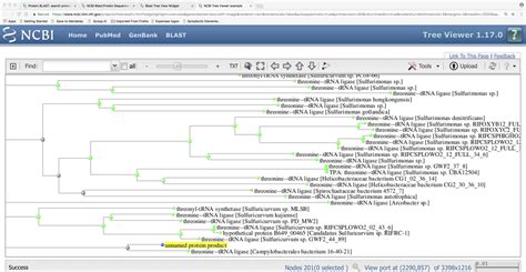 chapter 4 workshop predicting structure and function from sequence
