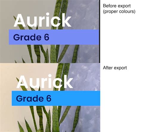 Colors Completely Different After Export R Premiere