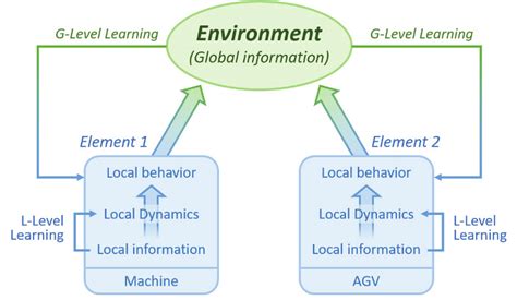 Cycles Of Global Vs Local Level Learning [52] Download Scientific Diagram