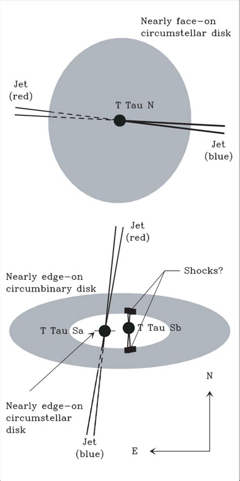 —sketch Of The T Tauri System Download Scientific Diagram