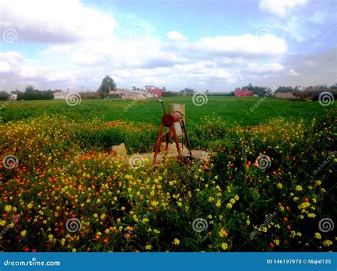Traditional Old Well Windlass In Beautiful Field Stock Image Image Of
