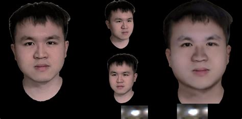 NeLF Neural Light Transport Field For Portrait View Synthesis And Relighting Paper Copilot