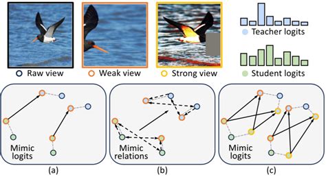 论文审查 Cross View Consistency Regularisation For Knowledge Distillation