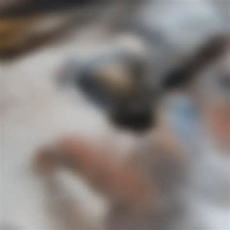 Types Of Igg A Comprehensive Overview