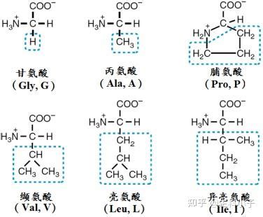 知识点1：氨基酸的结构、种类和分类 知乎