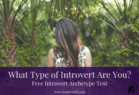 which of these 4 introvert archetypes are you {test} ⋆ lonerwolf