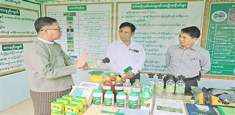 စစ်ကိုင်းတိုင်းဒေသကြီး၏ လယ်ယာကဏ္ဍဖွံ့ဖြိုးတိုးတက်ရေးနှင့် တစ်ဧကချင်း၏ ထုတ်လုပ်နိုင်စွမ်း မြှင့