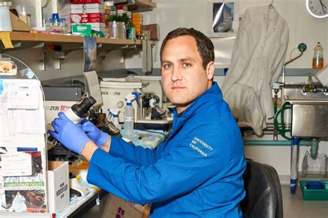 Why Dna Is The Most Exciting Programming Language Today Dna Drawing Dna Aging Beautifully