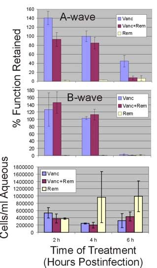 Retinal Function And Inflammatory Cells In Eyes With B Cereus Download Scientific Diagram