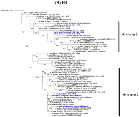 Surveillance And Genetic Analysis Of Low Pathogenicity Avian Influenza Viruses Isolated From