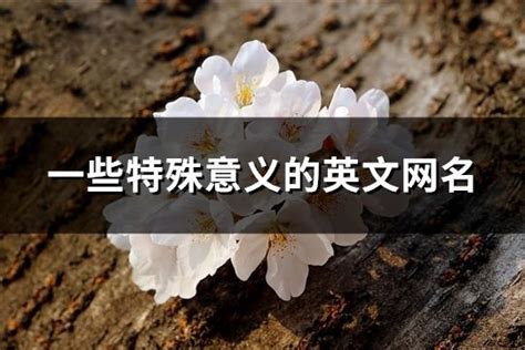 英文网名 淘名吧网