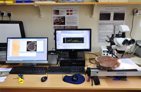 Dendrochronology Sustainability Methods