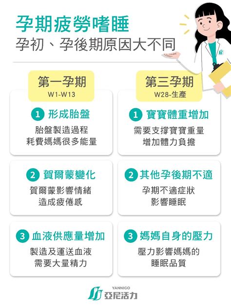 懷孕嗜睡解析｜初期後期原因大不同？教你六招克服懷孕疲倦，不再一直想睡覺！ 亞尼活力