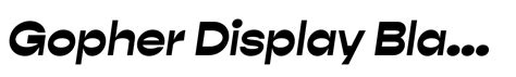 Gopher Font Webfont And Desktop Myfonts