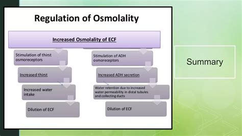 Physiology Regulation Of Body Fluids And Osmolality Renal Pdf