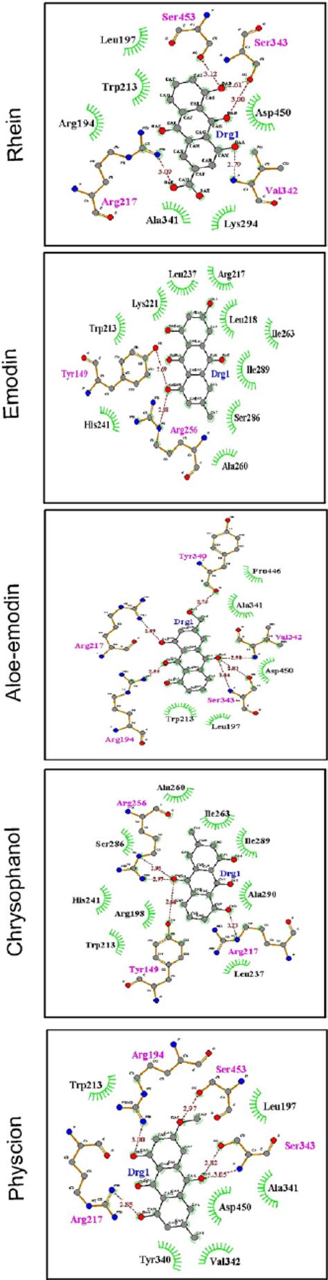 Ligplot Analysis Of Anthraquinones Bsa Interaction Download