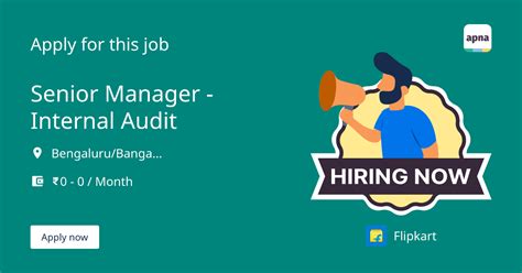 Senior Manager Internal Audit In Flipkart
