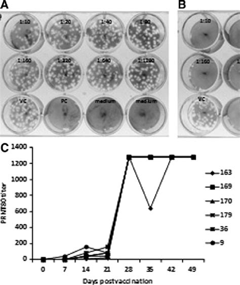 Neutralization Assay