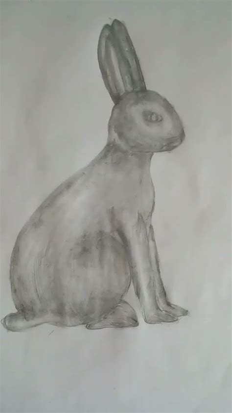 සත්ත්ව රූප Grade 9 Art Youtube