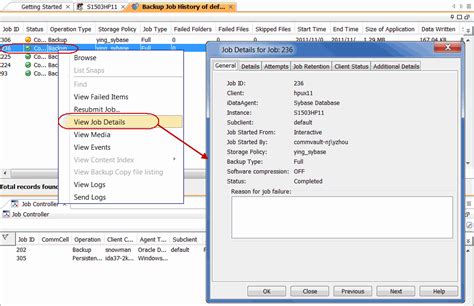 Getting Started Backup Sybase Idataagent