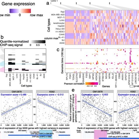 Virtual ChIP Seq Learns From Association Of Gene Expression And