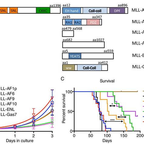 Age And Sex Distribution Of Patients With Acute Leukemia Download