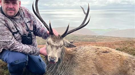 Red Stag Scotland Sercout Wild Harvest