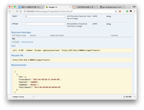 体验 beego api 开发和自动化文档