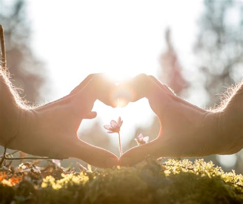 What Does The Bible Say About Prosperity 7 Biblical Truths Growing