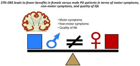 Publishing House Of Neural Regeneration Research On Linkedin Sex Modulates The Outcome Of