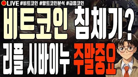 실시간 비트코인 침체기 리플 시바이누 주말 중요합니다 무브먼트 바운스토큰 솔레이어 온도파이낸스 알트코인 폭락 3월 14일 오전 라이브 비트코인 불장 Youtube