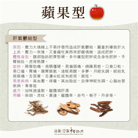 肥胖症型與中醫肥胖症型關聯永和 臻觀中醫 台北 澄觀中醫診所 減重 衛教資訊分享 閒聊板 Dcard