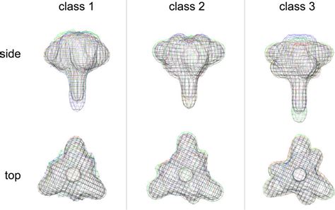 Further Subclassification Of Three Retained 3d Classes The Particles Download Scientific
