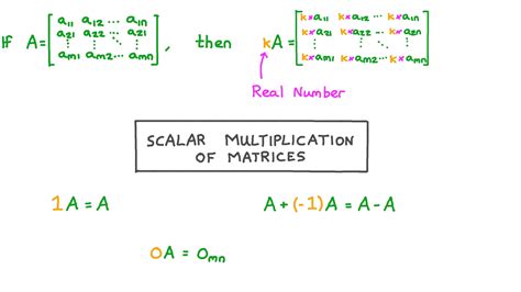 Lesson Scalar Multiplication Of Matrices Nagwa